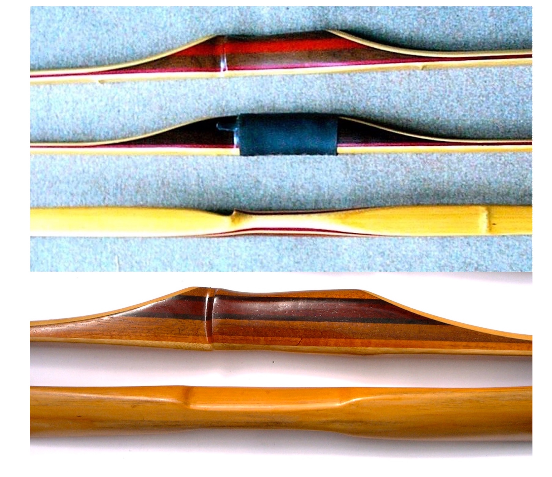 Introduction to Sylvan Archery